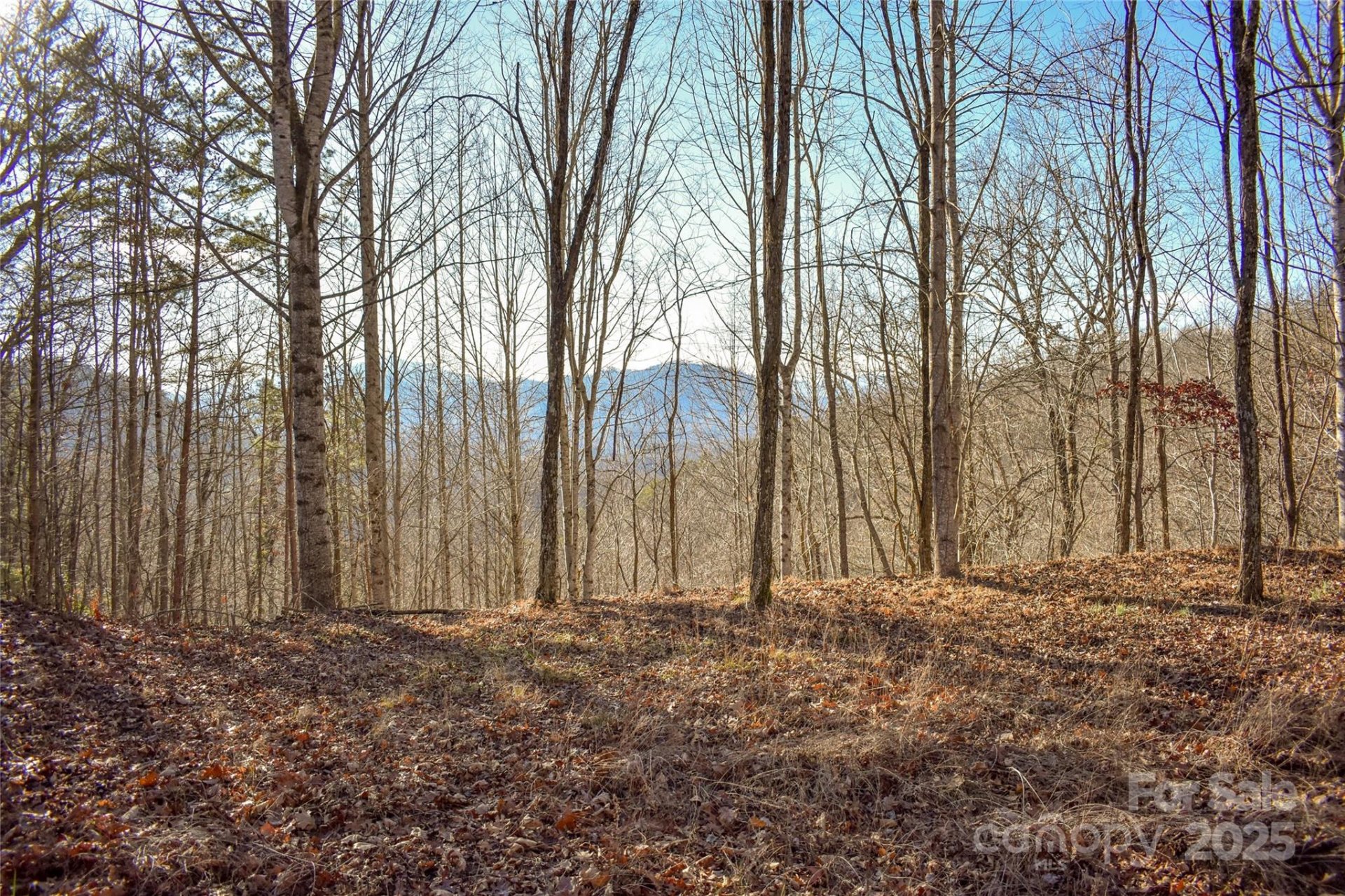 $38,900 - 10 Ridge Place, Bryson City, NC 28713 | Palmetto Park Realty