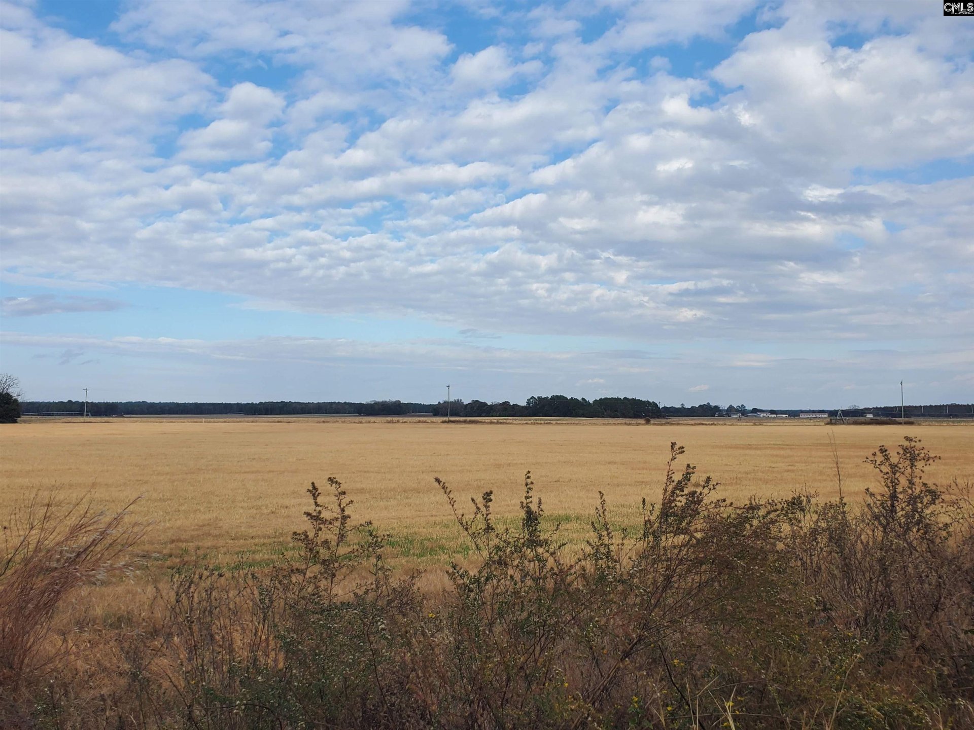 $70,000 - Lot 4 Water Tank Road, Pelion, SC 29123 | Palmetto Park Realty