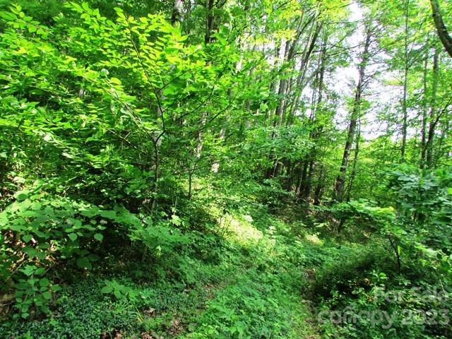 Mt Celo Acres Real Estate | Burnsville, SC | 1 Sold