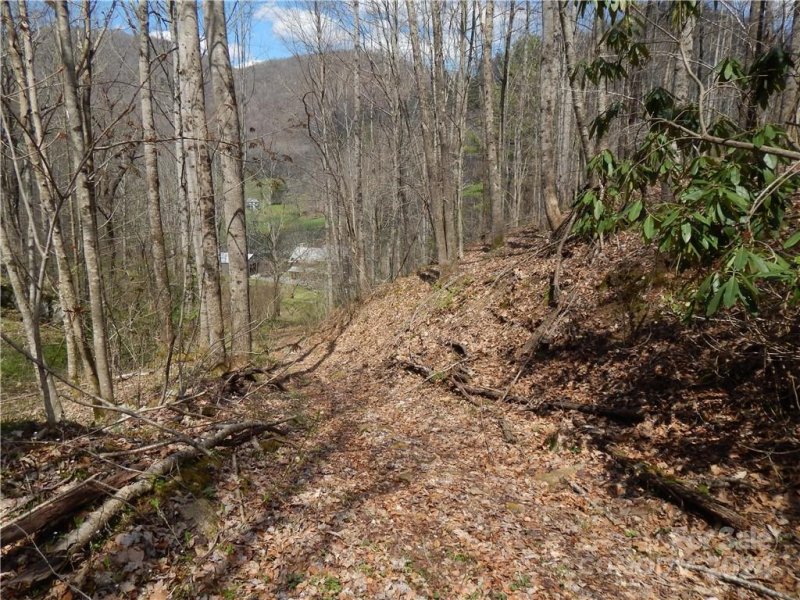 $45,000 - 00 Gentry Farm Road, Spring Creek, NC 28743 | Palmetto Park ...