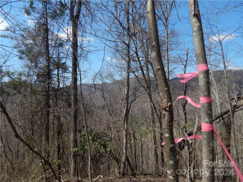 $45,000 - 00 Gentry Farm Road, Spring Creek, NC 28743 | Palmetto Park ...